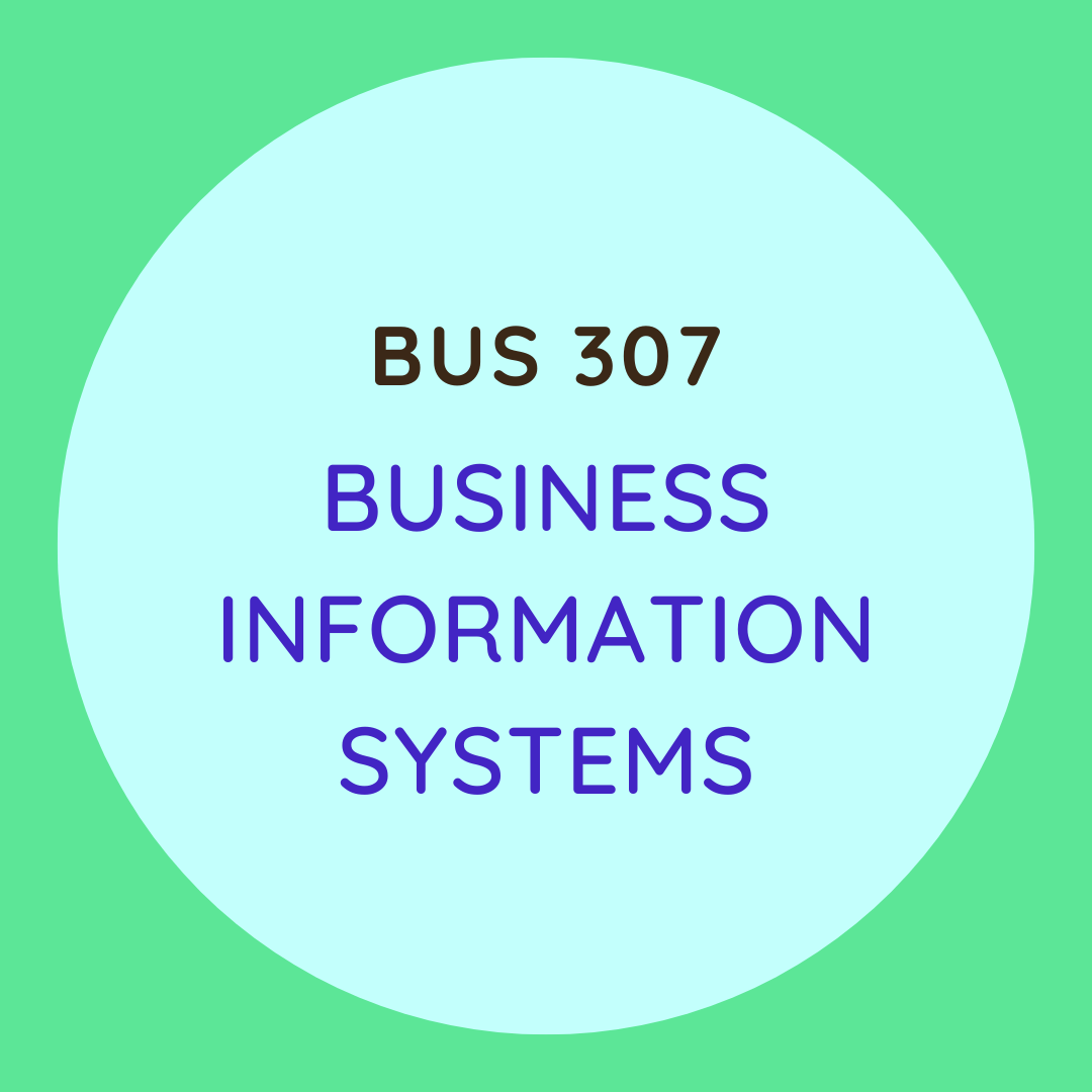 BUS 307 Business Information Systems — aafaqeducation