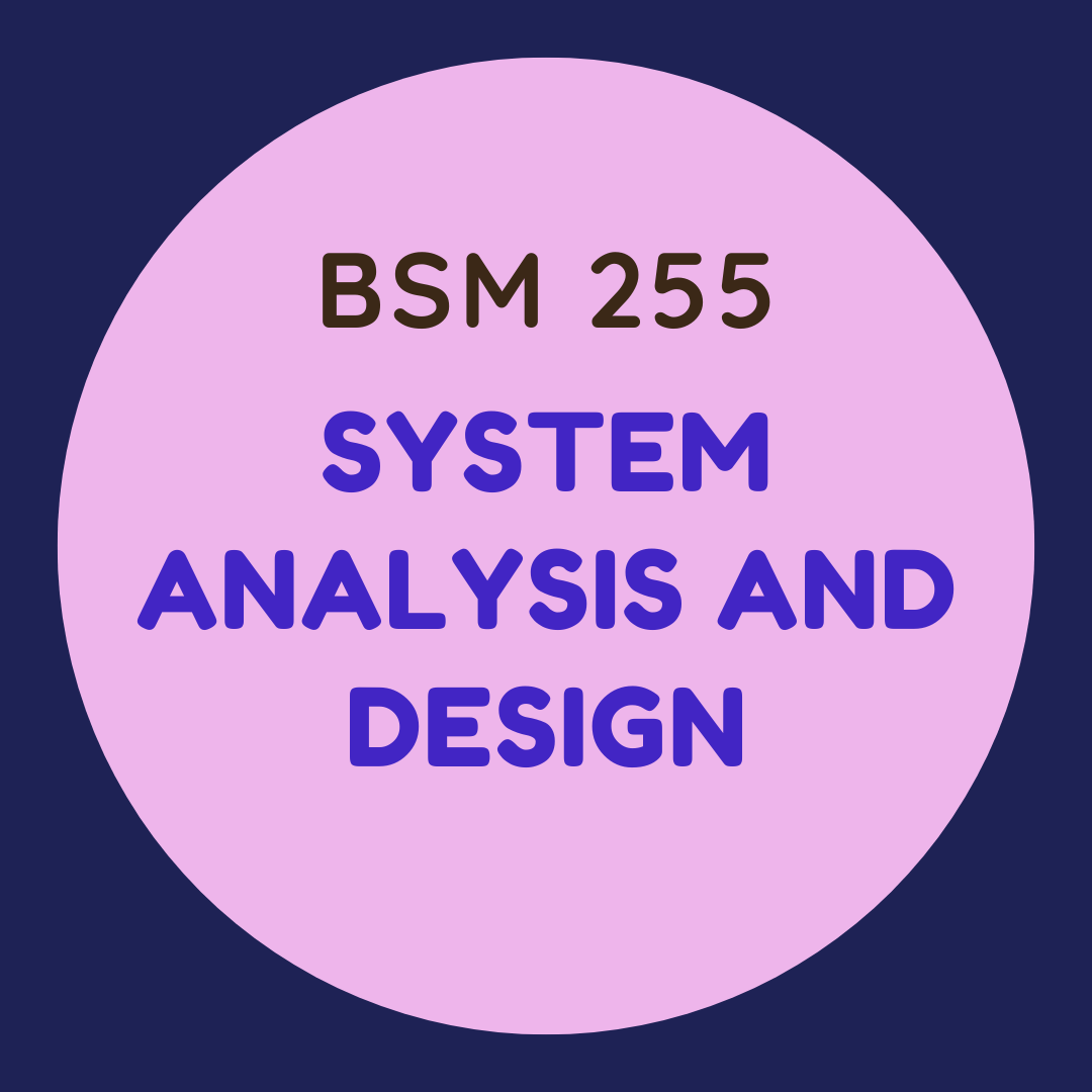 BSM 255 System Analysis and Design — aafaqeducation